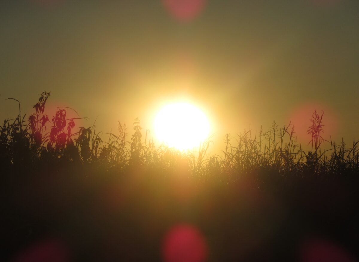 謹賀新年 | 【厄除のお大師さま】あさか大師ホームページ〈公式〉【厄除のお大師さま】あさか大師ホームページ〈公式〉